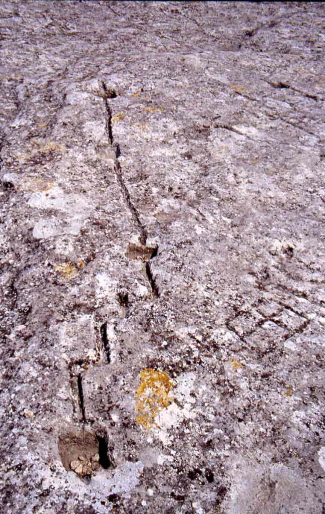 Ciappo delle Conche - Mudif